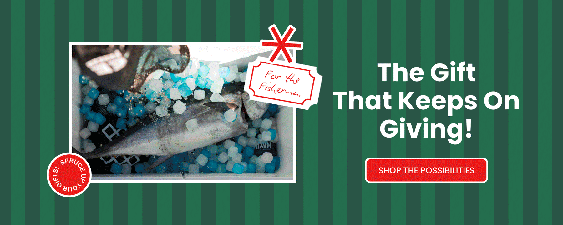 Ezee Freeze | World's First Reusable Bag of Ice